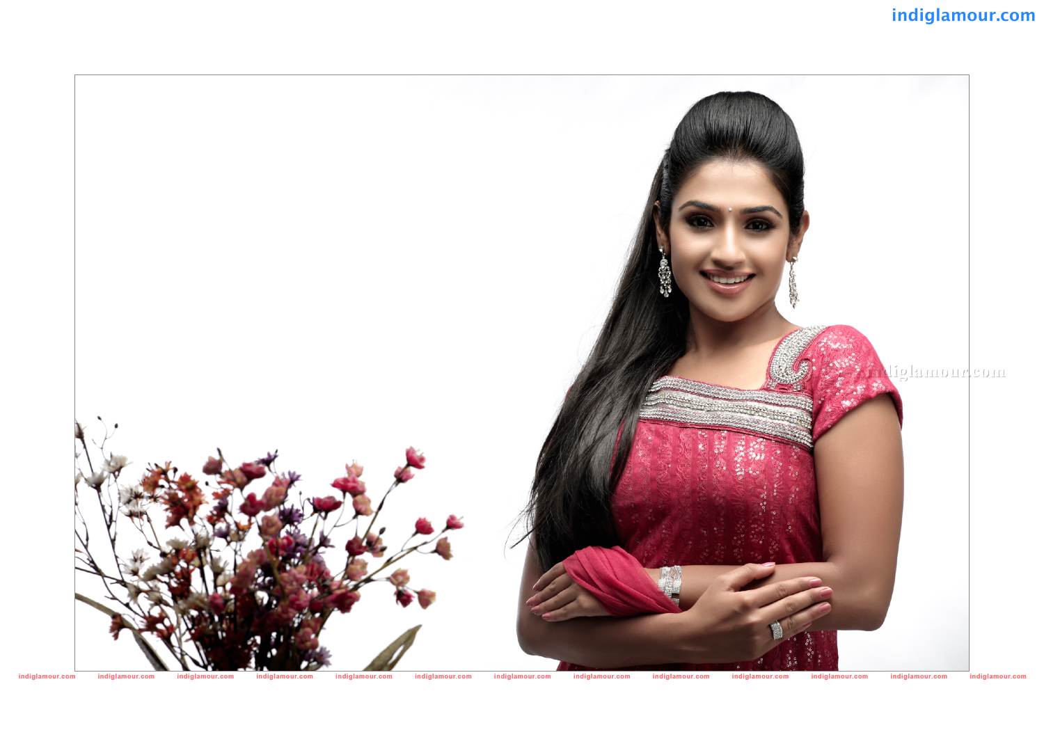 Vidya Actress photo,image,pics and stills - # 209699