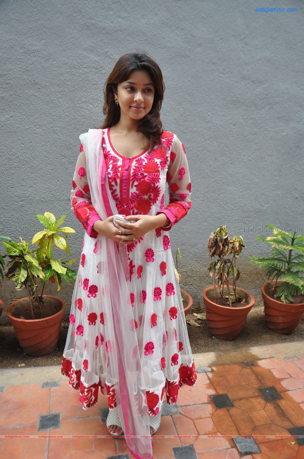 Payal Ghosh Actress photo,image,pics and stills - # 219451