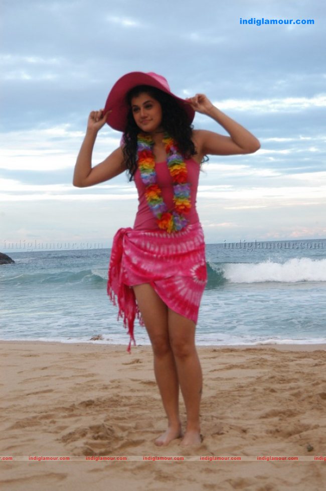 Tapsee Actress HD photos,images,pics and stills-indiglamour.com #106256