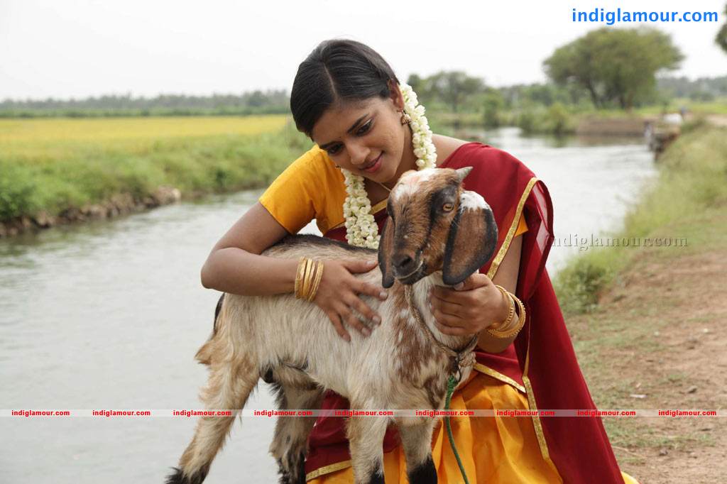 Sonna Puriyathu Movie HD photos,images,pics,stills and picture ...