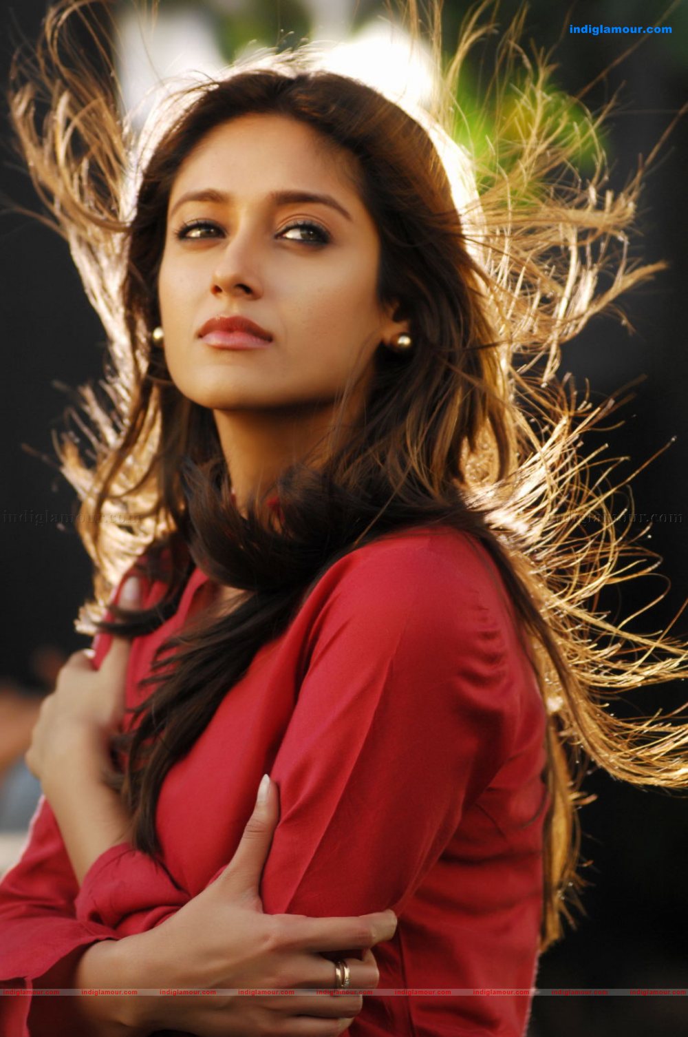 Ileana Actress photos,images,pics and stills - 2035 # 0 - indiglamour.com
