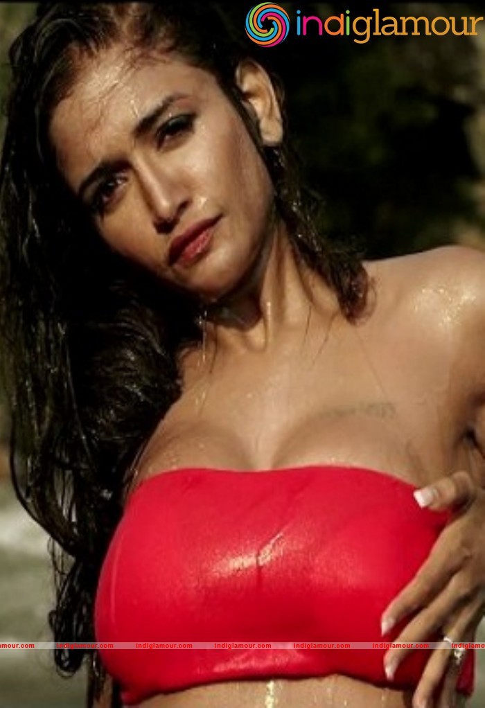Anaika Soti Spicy And Hot Wet Boobs Photos Gallery Actress HD Photos Anaika Soti Spicy And Hot Wet Boobs Photos Gallery Actress HD Photos