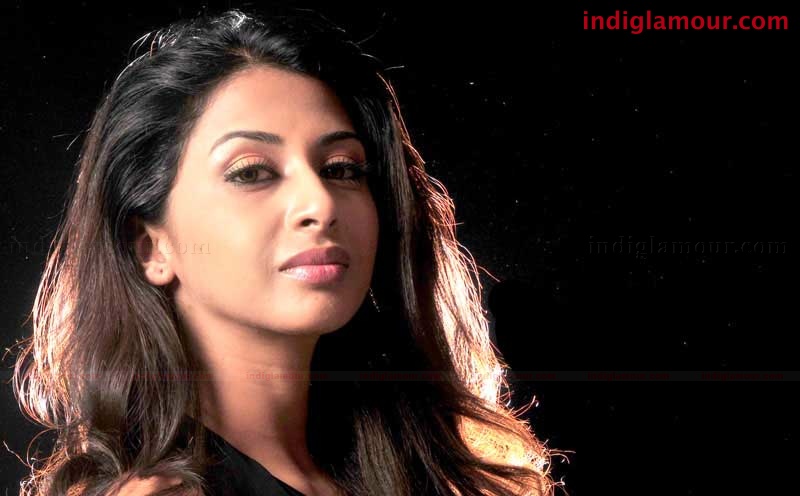 Gayatri Iyer Actress HD photos,images,pics and stills-indiglamour.com ...