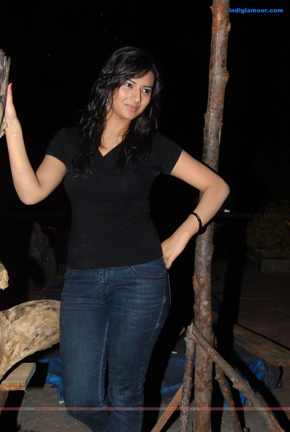 Isha Chawla Actress photo,image,pics and stills - # 86081