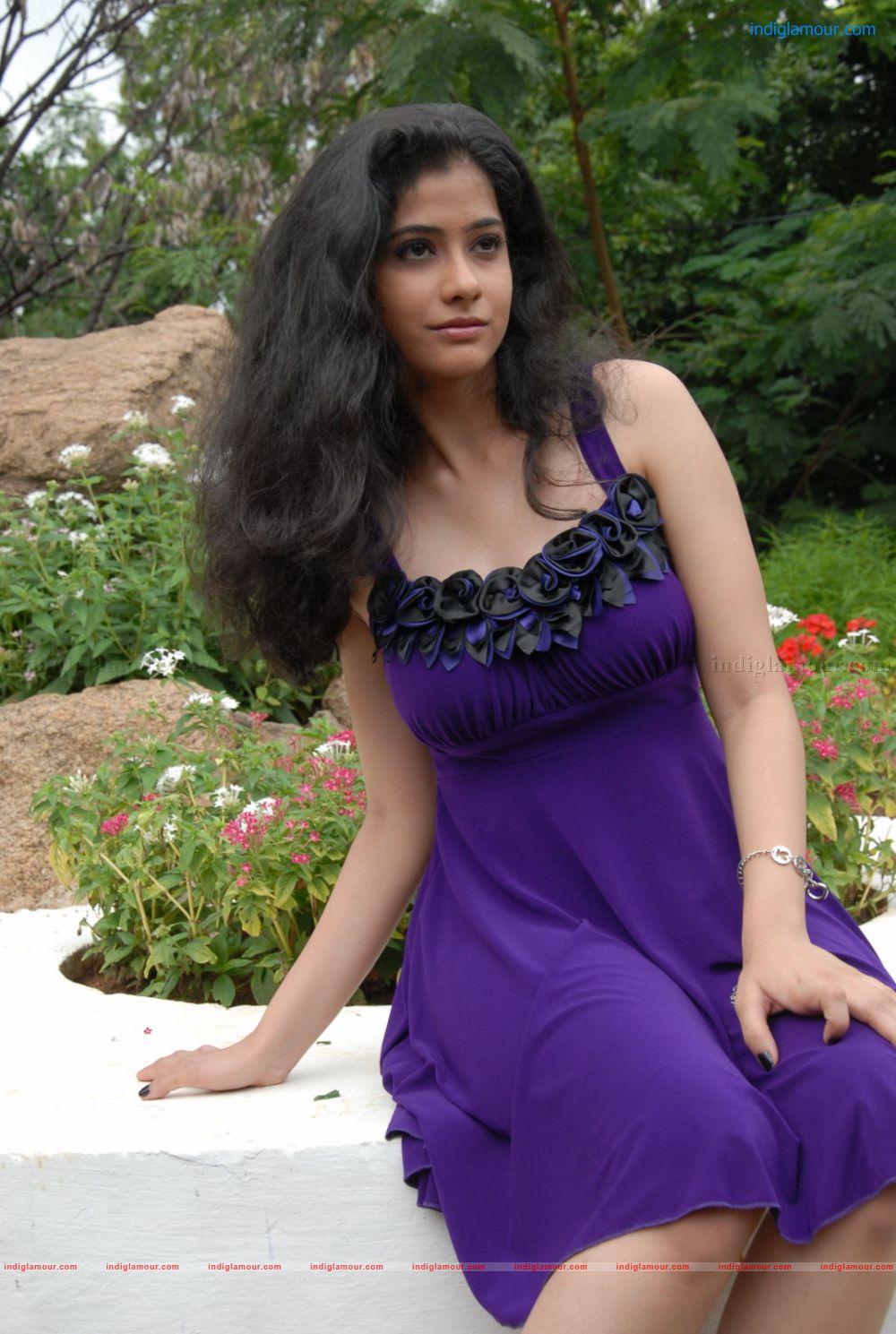 Kashmira Actress photo,image,pics and stills - # 223447