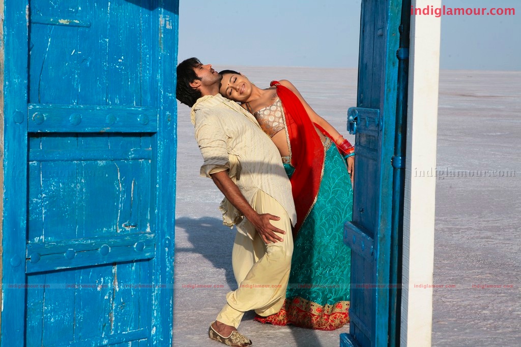 Sarvam Movie HD photos,images,pics,stills and picture-indiglamour.com ...