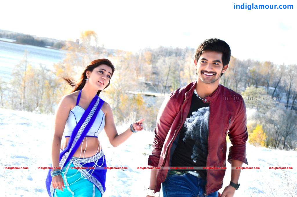 Sukumarudu Telugu Movie Photos Stills - photo #240648